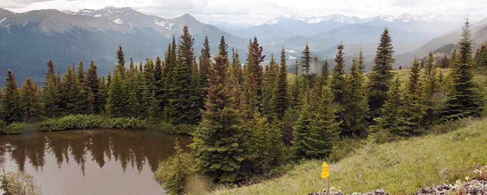 Willmore Wilderness - High Country Vacations