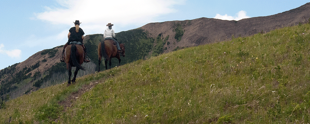 Willmore Wilderness - High Country Vacations